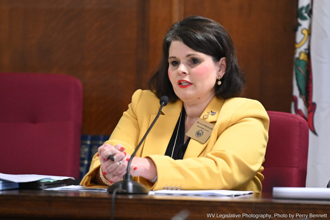 House Health Committee Works on Bill To Split DHHR | News, Sports, Jobs ...